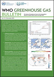 Rapporto WMO: le concentrazioni di gas serra raggiungono livelli record